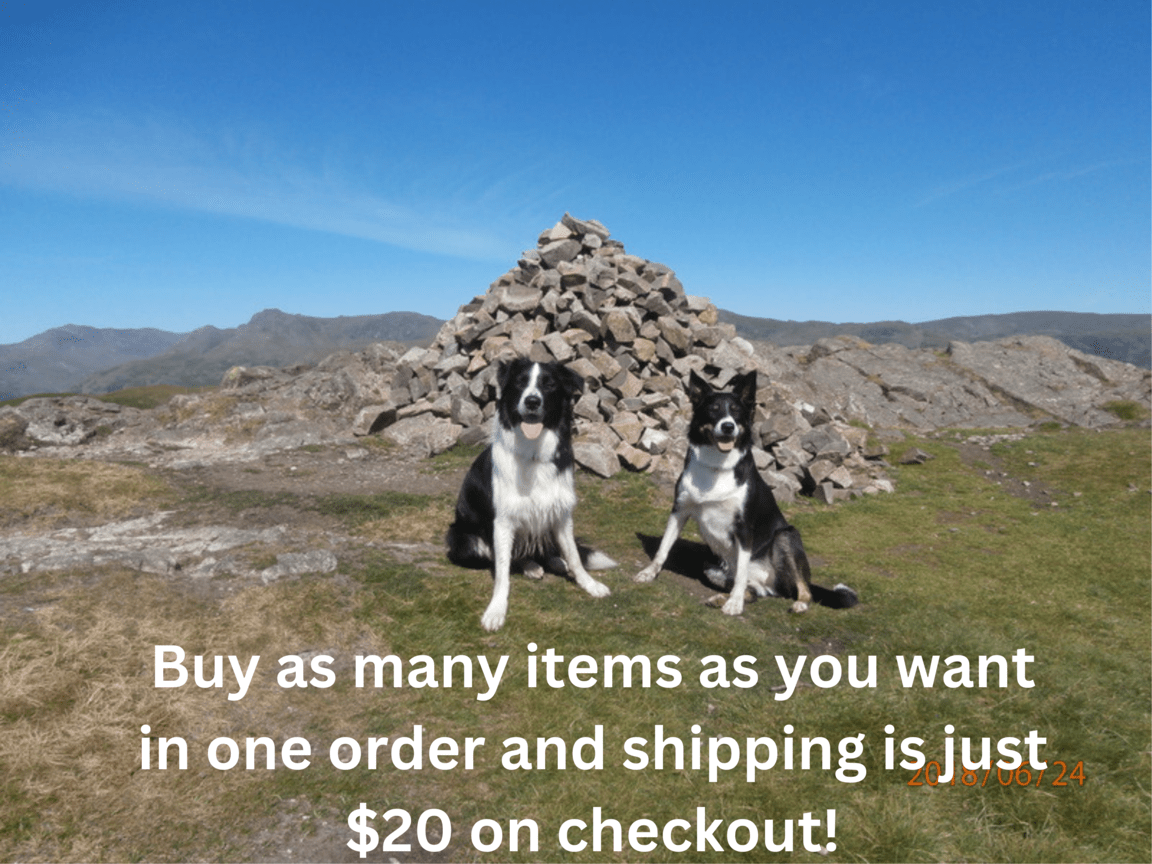 Viessmann 1501 eMotion Operating Lovers in Action HO Scale | eBay