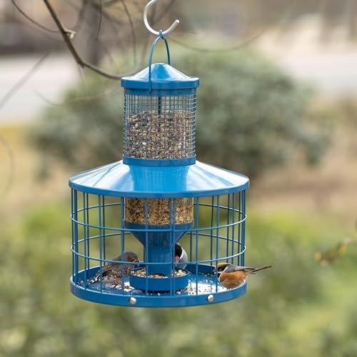 Caged Bird Feeders Squirrel-Proof, Metal, 2.8 Lbs Capacity-Cage Tube ...