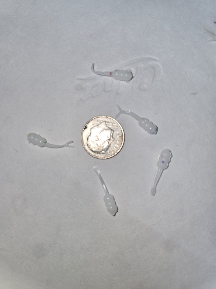 (30) ice Fishing Crappie/Bluegill/Perch Micro Plastics, panfish. White ...