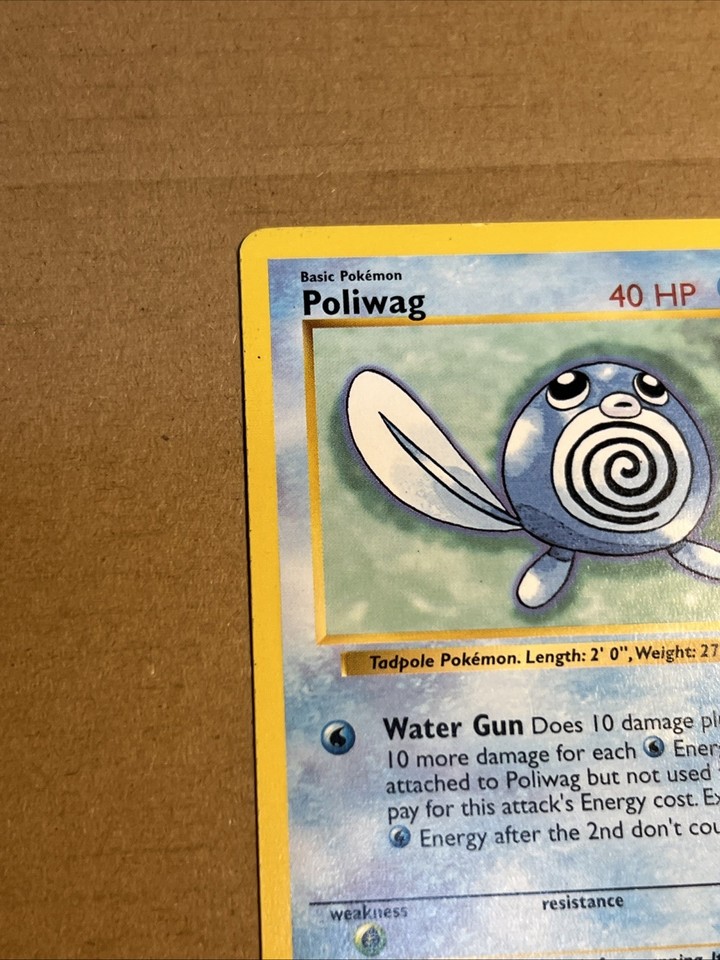 Pokémon TCG Poliwag Base Set, Shadowless Common Card 59/102, NM/LP ...