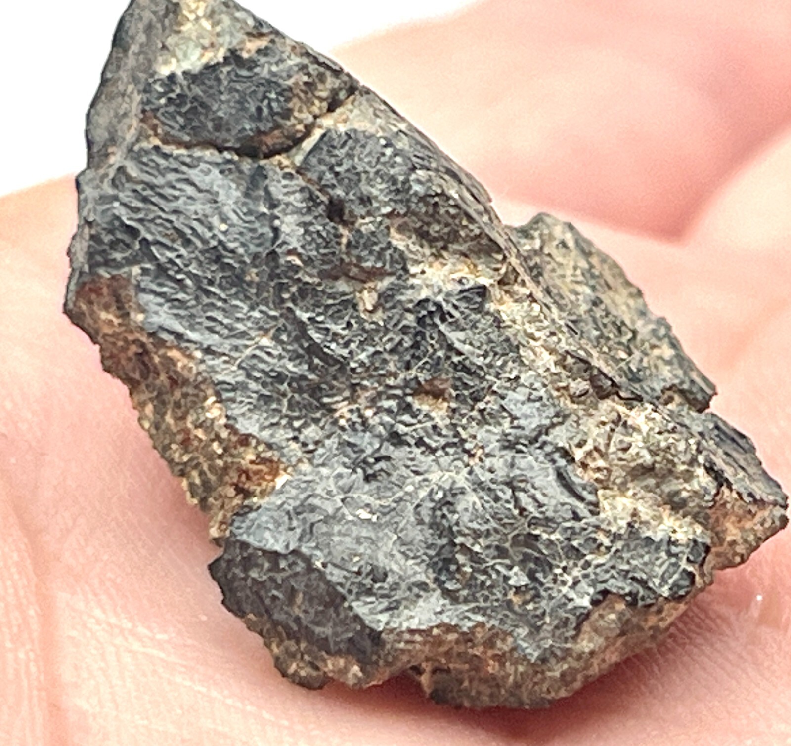 NWA 10645 (8.002g) Martian Nakhlite Meteorite, Crusted fragment, IMCA ...