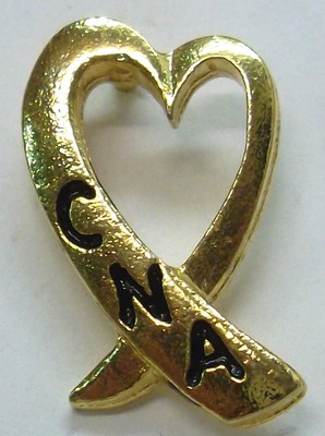 Certified Nursing Assistant With CNA Script in Heart Lapel Pin Gold ...