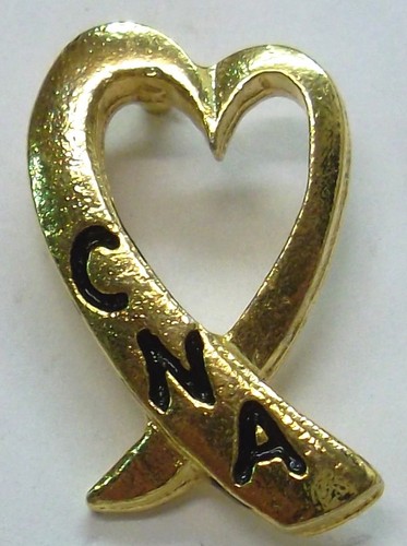 Certified Nursing Assistant With CNA Script in Heart Lapel Pin Gold ...