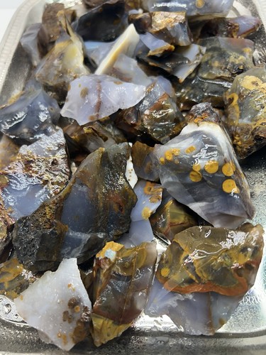 4LB LOT Blue Ice Polka Dot Agate. Madras Oregon, Lapidary Rough For ...