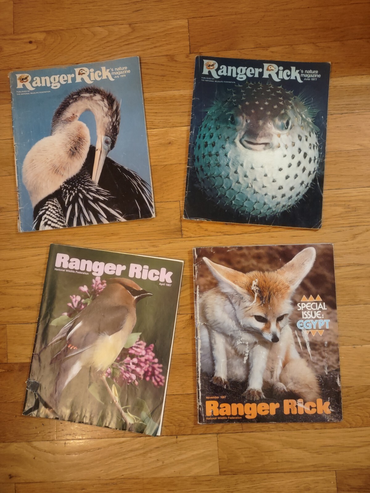 4 Vintage Ranger Rick Nature Magazines 1977/1979/1987 Wildlife Kids Lot ...