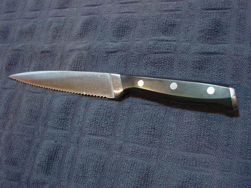 PROFESSIONAL QUALITY CALPHALON 6 INCH SERRATED UTILITY KNIFE CHEF ...