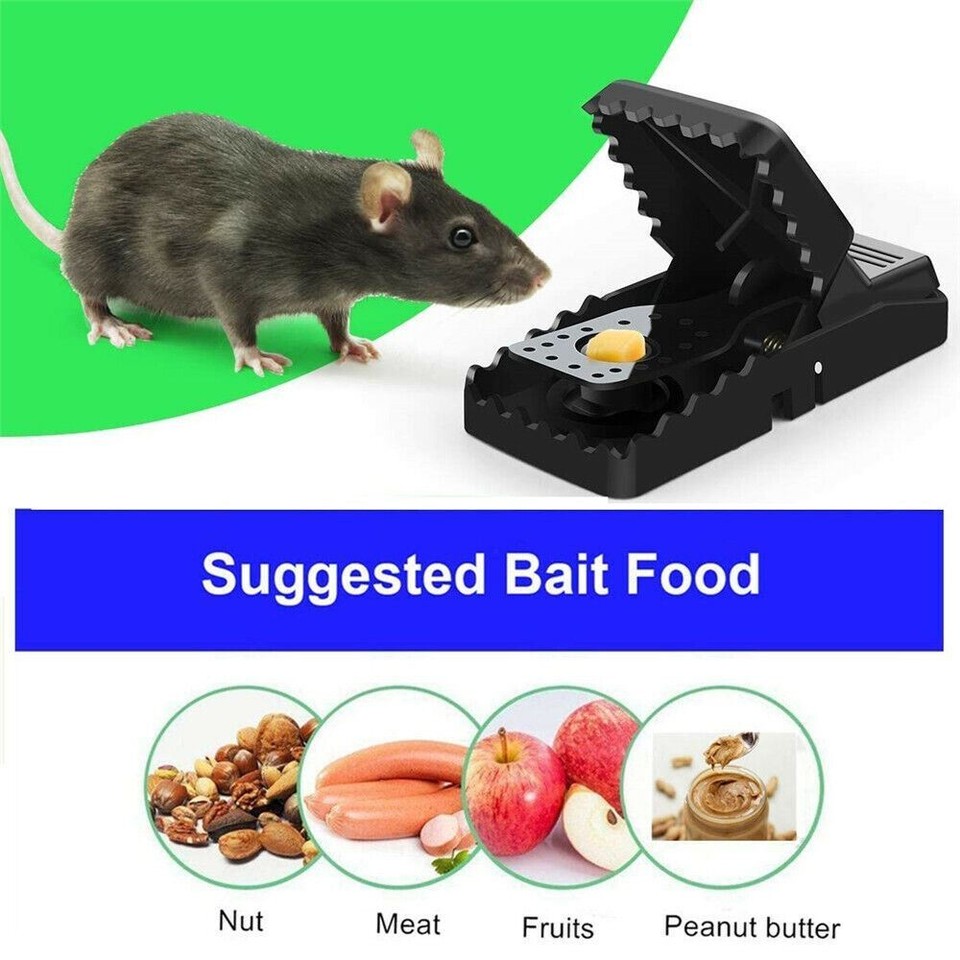 6-PACK Reusable MOUSE TRAPS Rat Trap Rodent Snap Trap Mice Trap Catcher ...