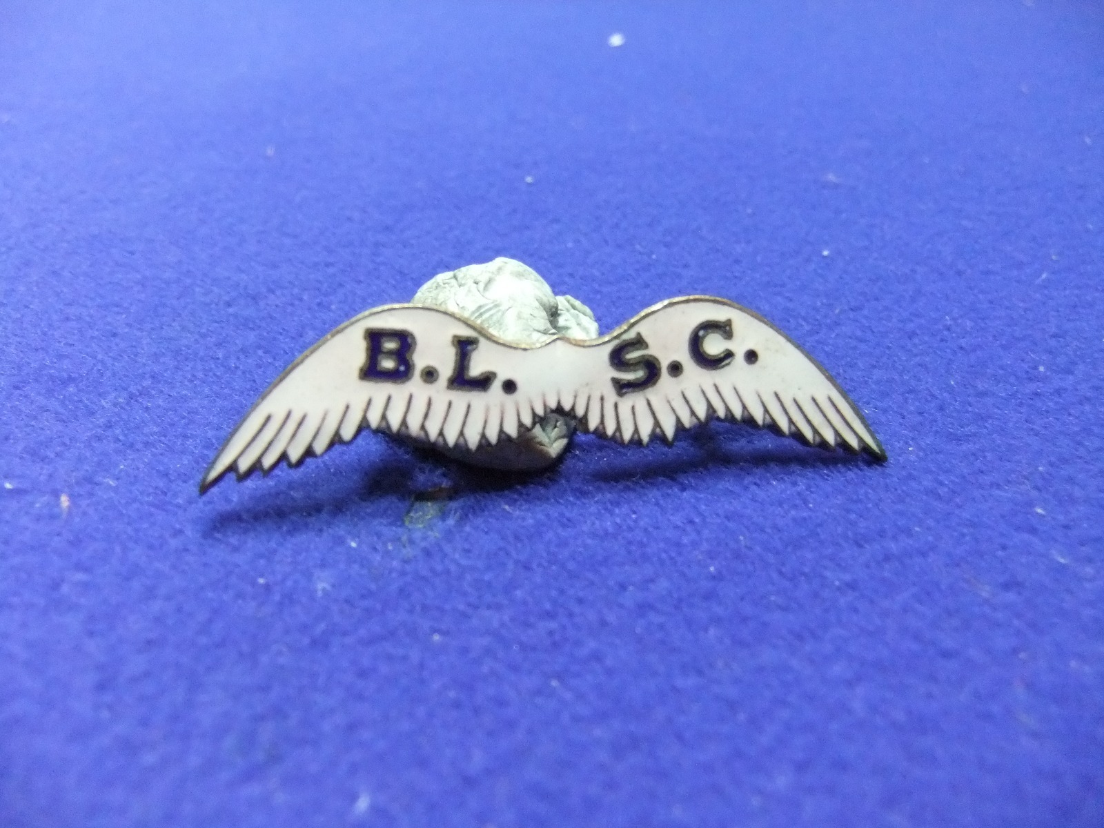 badge swimming club Bondi Ladies member membership sport activity pool ...