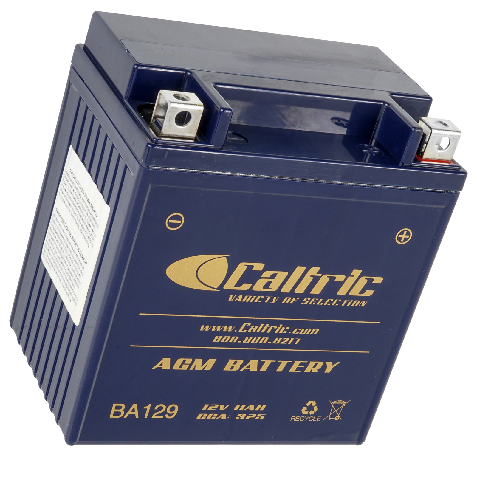 AGM Battery for Yamaha Virago 250 XV250 1995-2004 | eBay