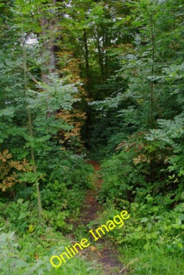 Photo 6x4 Path from Comberton Road to Heronswood Road, Spennells ...