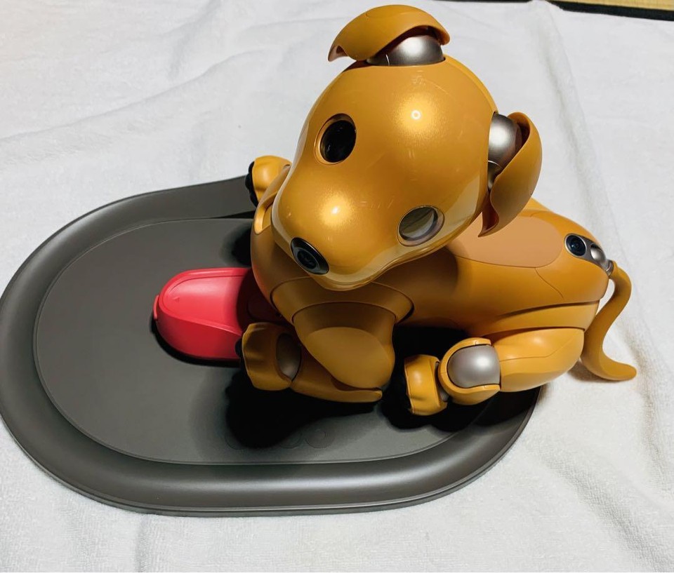 Aibo SONY ERS-1000 Caramel Edition Limited Color Entertainment Robot ...
