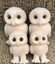 Sylvanian Families / Calico Critters Dream Project Owl Family | eBay