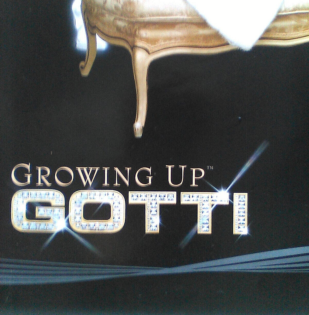 Growing Up Gotti 2013 XL * JOHN GOTTI Rap Tee * Mafia Mob Movie Vtg