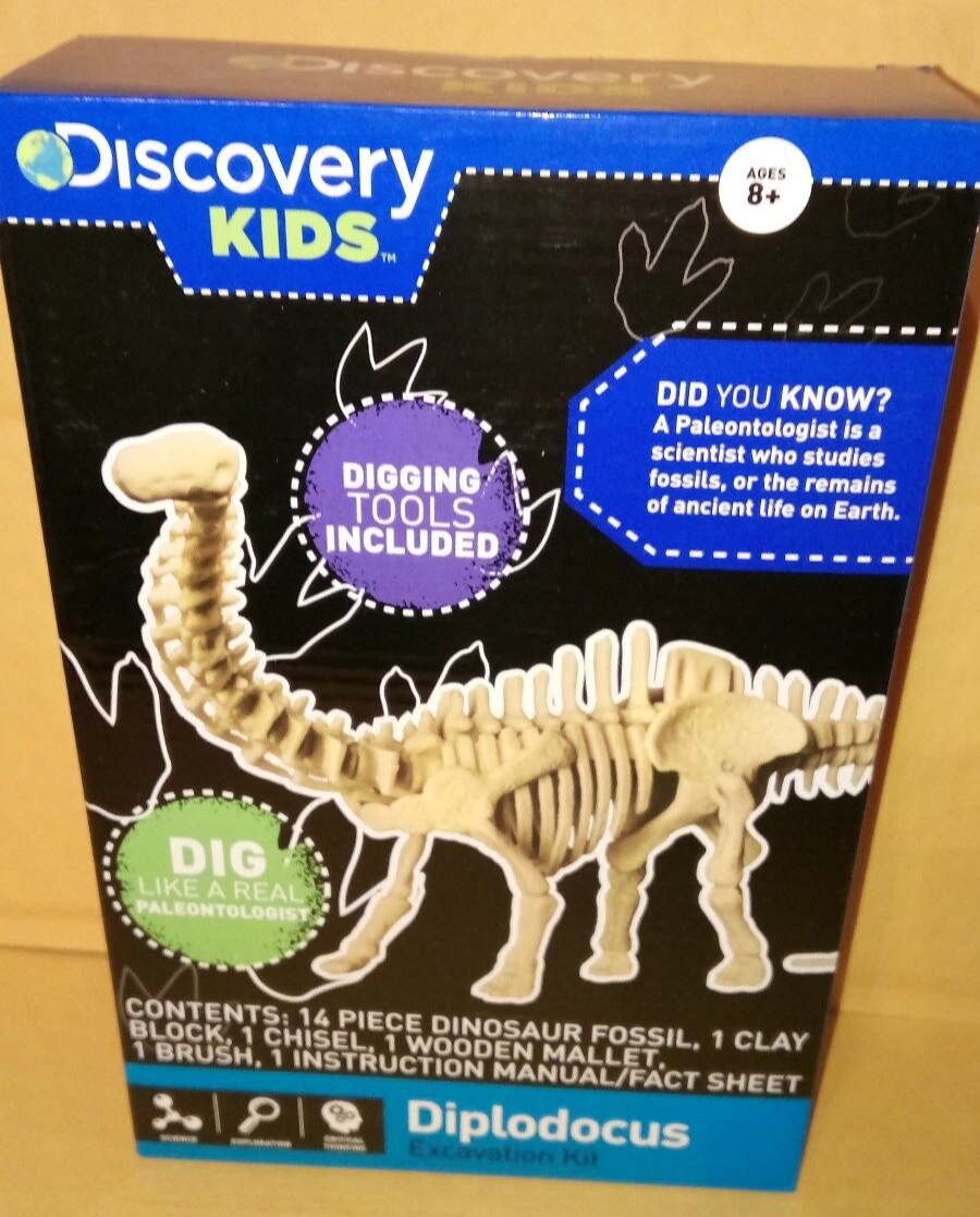 Paleontologist Tools For Kids