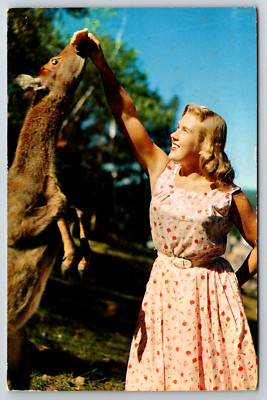 c1960s Animal Land Lake George New York Diane Struble Deer Vintage ...