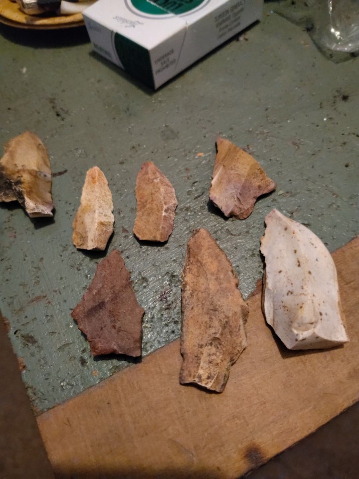 LOT OF PALEO NATIVE AMERICAN ARTIFACTS (PRE-CLOVIS) FOUND OFF THE CHATTAHOOCHEE | eBay