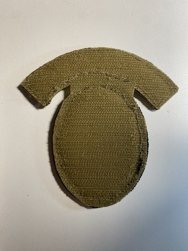 Us Army Military District Of Washington 3rd Infantry Old Guard Ocp Patch/W/Hook | eBay