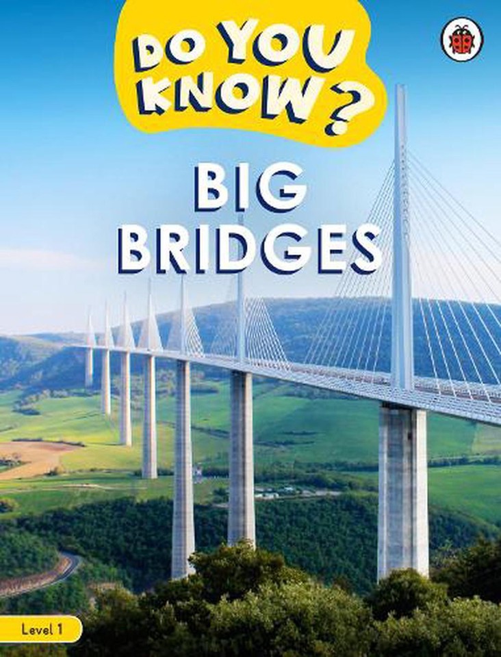 Do You Know? Level 1 - Big Bridges by Ladybird Paperback Book ...