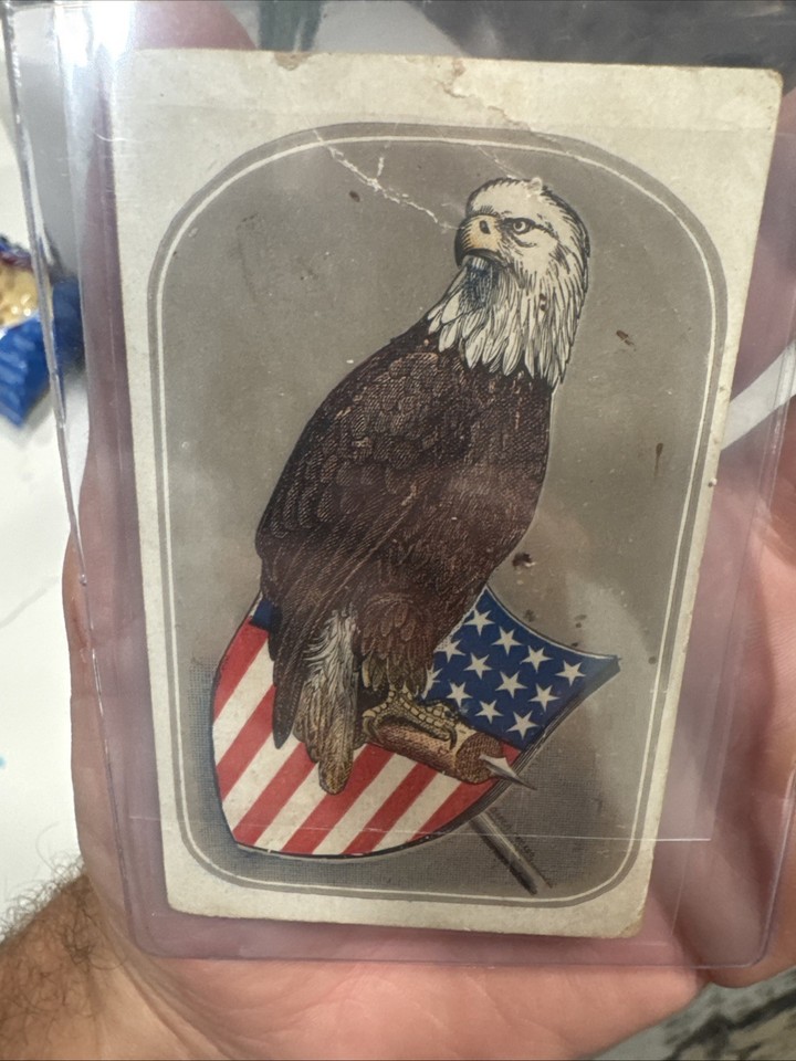 1865 US Civil War Era Portrait Card “Old Abe” 8th Wisconsin Regiment | eBay