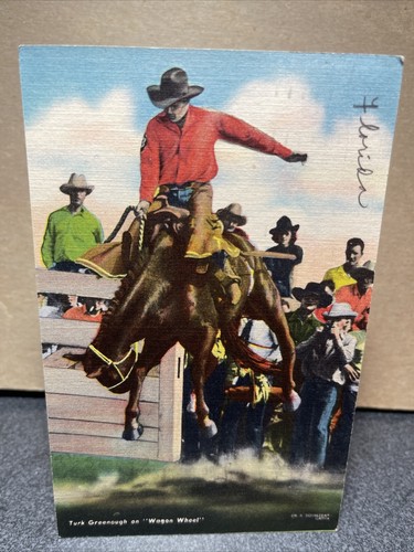 Turk Greenough On Wagon Wheel Postcard | eBay