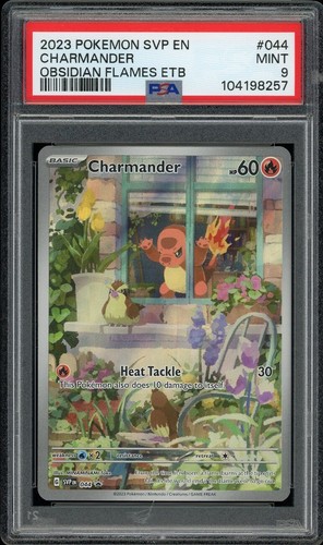 Charmander 044 Sv: Scarlet & Violet Promo Cards PSA 9 | eBay