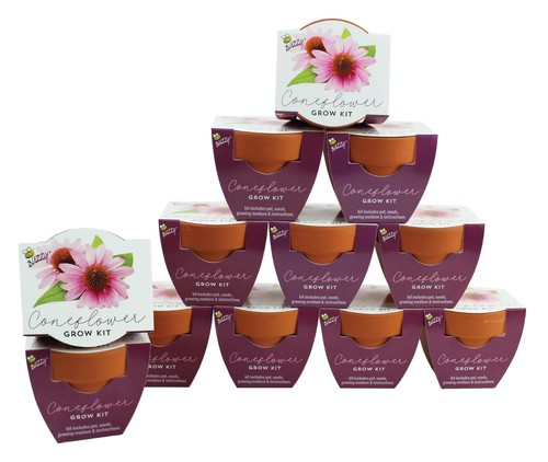 Seeds Terracotta Mini Grow Pots | Herb, Plant, Flower Starter Kit for ...