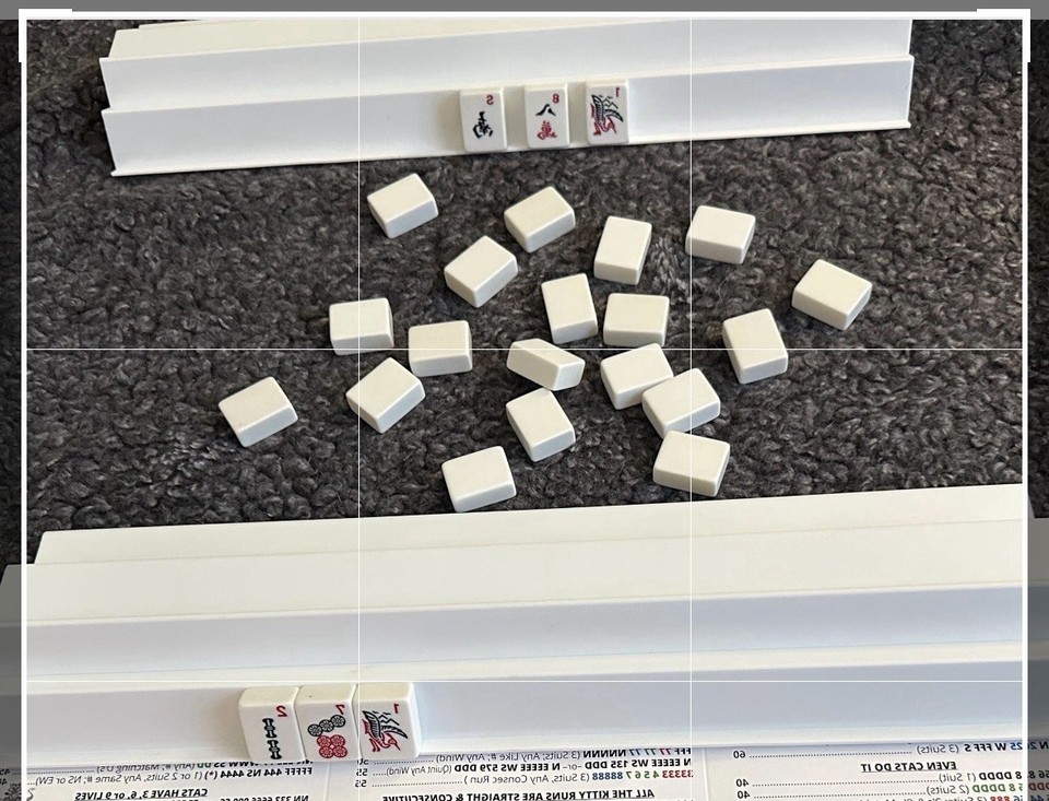 Siamese Mah Jongg Racks- 1 Set Of 2 Racks Plus 2 Black Pushers. Made In ...