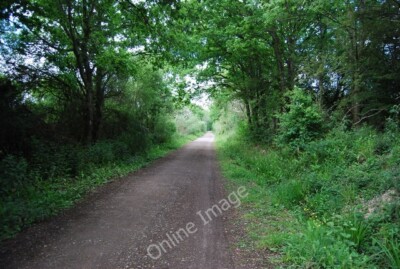 Photo 6x4 Downs Link Copsale c2011 | eBay