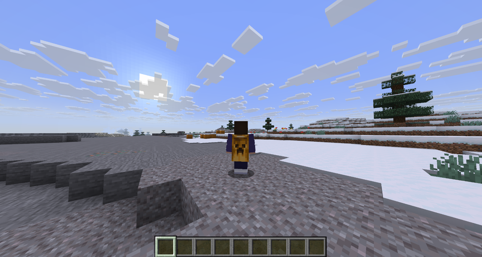 Minecraft Founder's Cape account - Java and Bedrock Edition | eBay