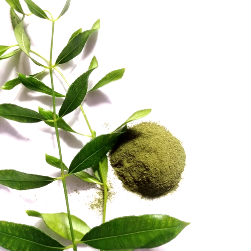 Dried Natural June Plum Leaf Powder Dulcis Leaves Ambarella Herbal ...