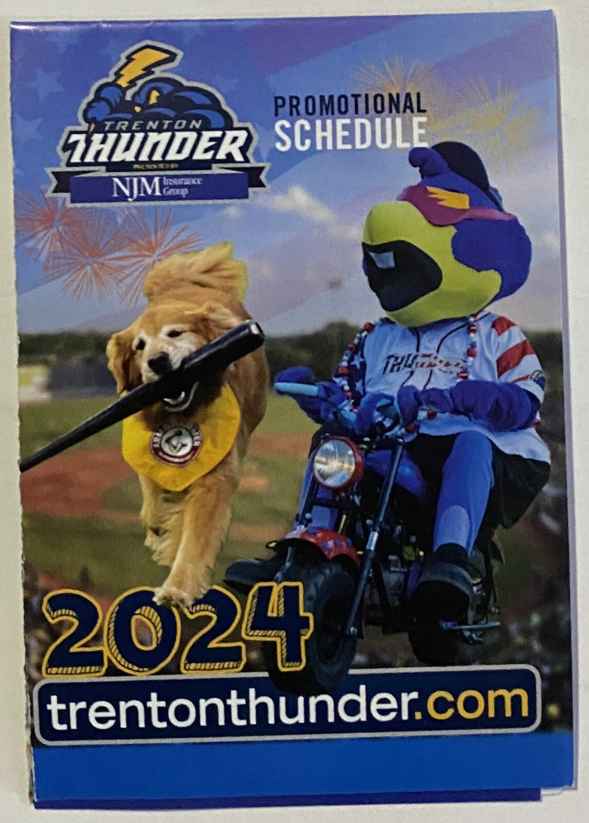 2024 TRENTON THUNDER Schedule ⚾️ Minor | Grelly USA