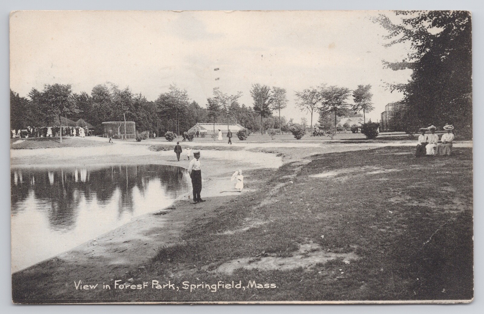 VIEW IN FOREST PARK, SPRINGFIELD MASSACHUSETTS, OLD ZOO, MA POSTCARD ...