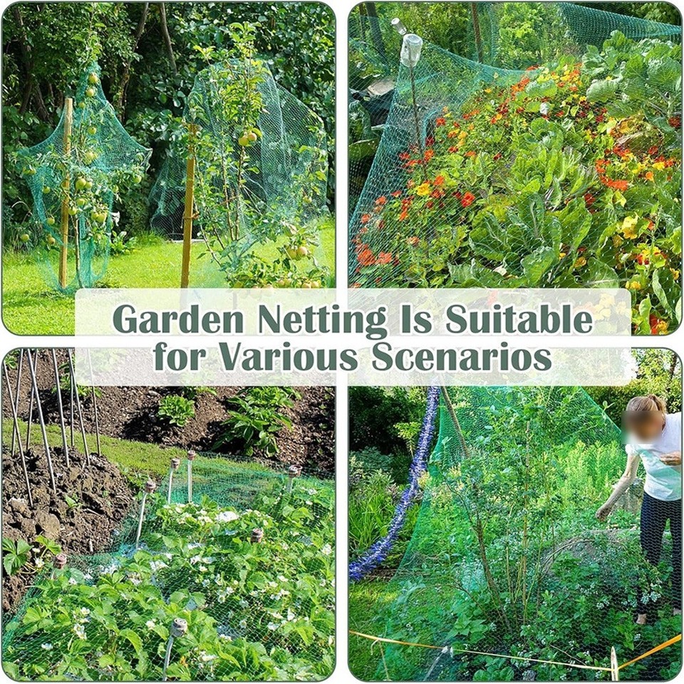 Garden Netting 4x10 Meters with Tie and Tack for Vegetable and Tree ...