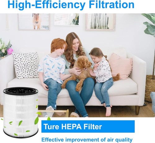 2Pack True HEPA Replacement Filter-Compatible with Aerus Lux Guardian ...