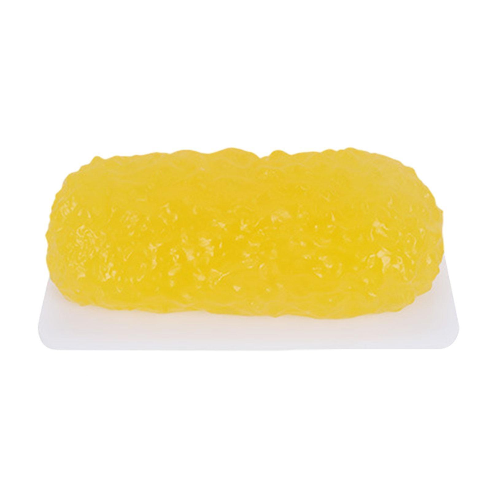 Human Body Fat Replica Fat Model for School Hospital Training ...