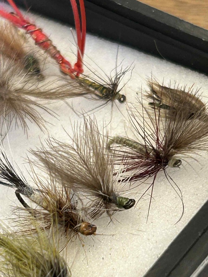 Fly Fishing Flies Assorted Fly Quality Collection Job Lot | eBay UK