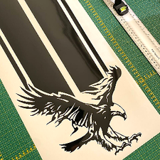 Auto Glow Decals | eBay Stores