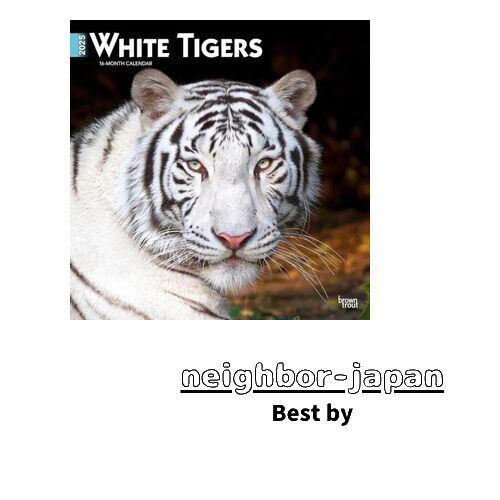 New White Tigers | 2025 12 x 24 Inch Monthly Square Wall Calendar ...