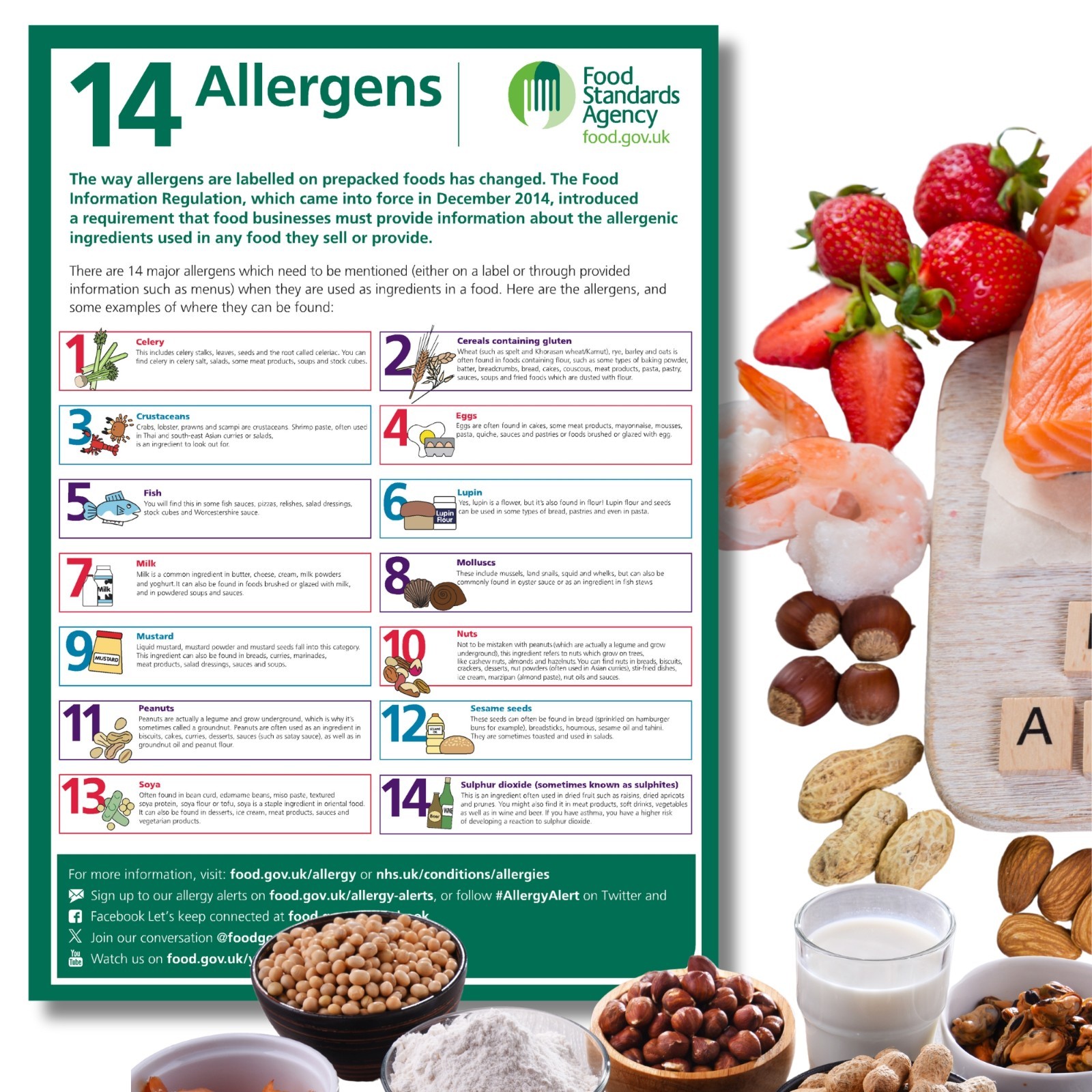 14 food allergens allergy kitchen catering safety self adhesive poster ...