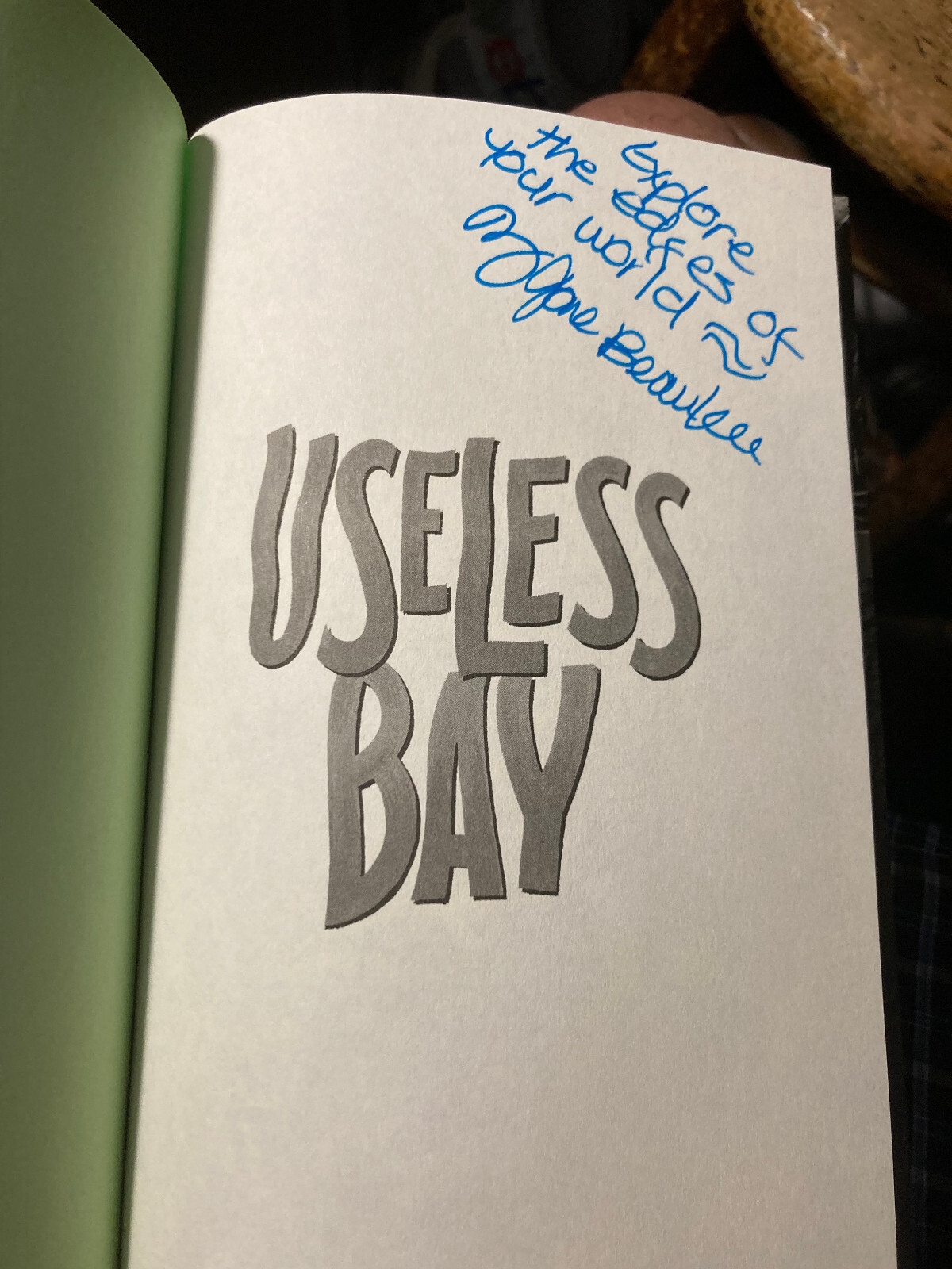 Useless Bay - Beaufrand, M J - SIGNED - Brand New Hardcover, Free Shipping 9781419721380 | eBay