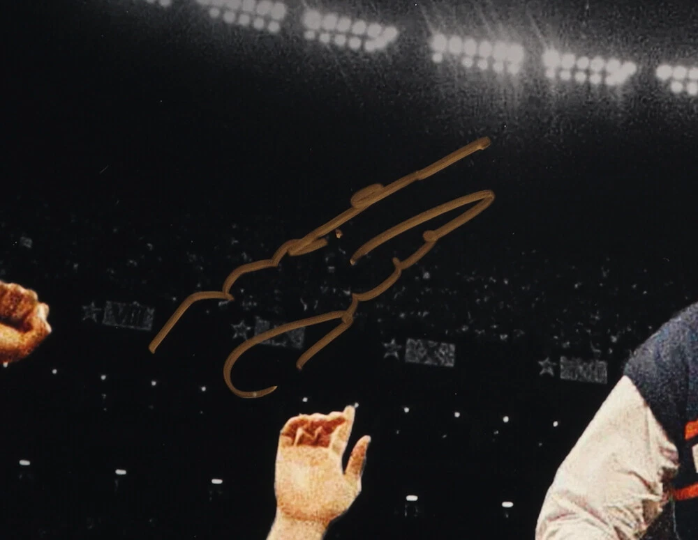 Mike Ditka Finger Poster