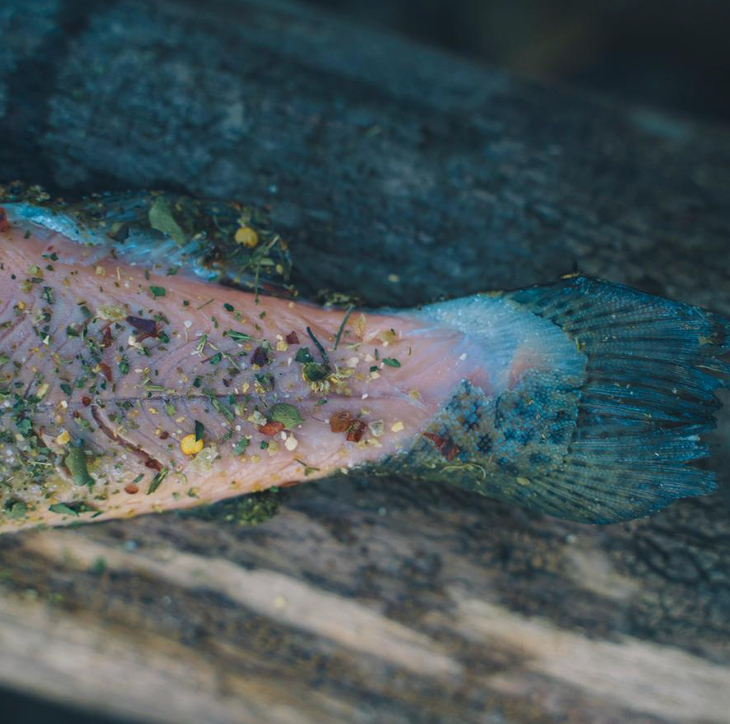 Wild Fire Seasonings And Rubs - Seafood & River Fish | eBay