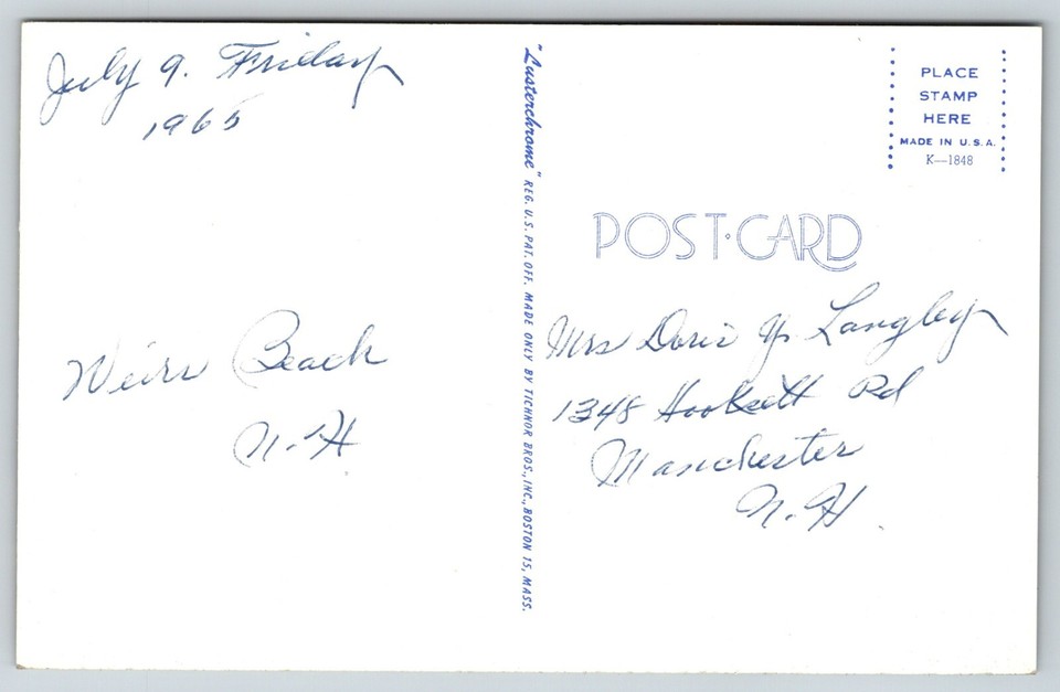 RACCOON unposted vintage chrome c1960 writing on back 1965 Tichnor ...