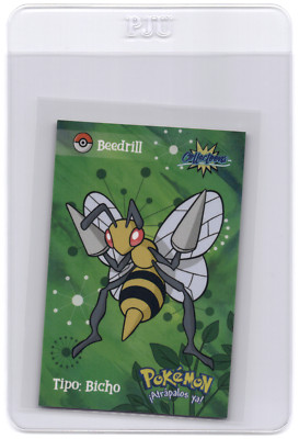 Pokemon Peruvian Beedrill | eBay