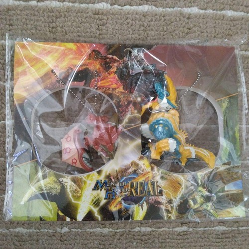 USJ MONSTER HUNTER THE REAL LIOLEUS JINOGRE KEY CHAIN | eBay