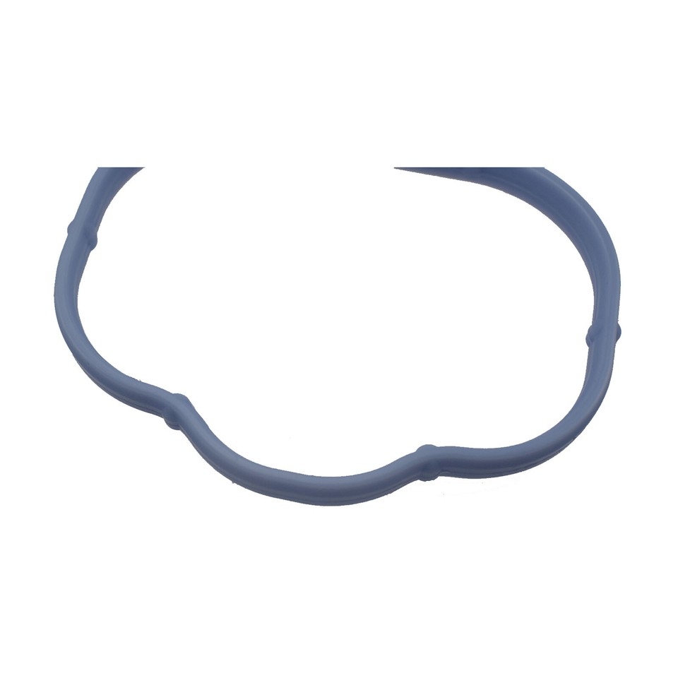 2011-2019 Chrysler Dodge Jeep Intake Manifold Upper & Lower Gasket ...