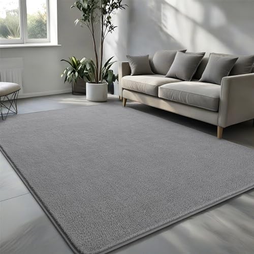 Area Rugs for Bedroom Living Room, 5x7 Thickened Memory-Foam 5 ft x 7 ...