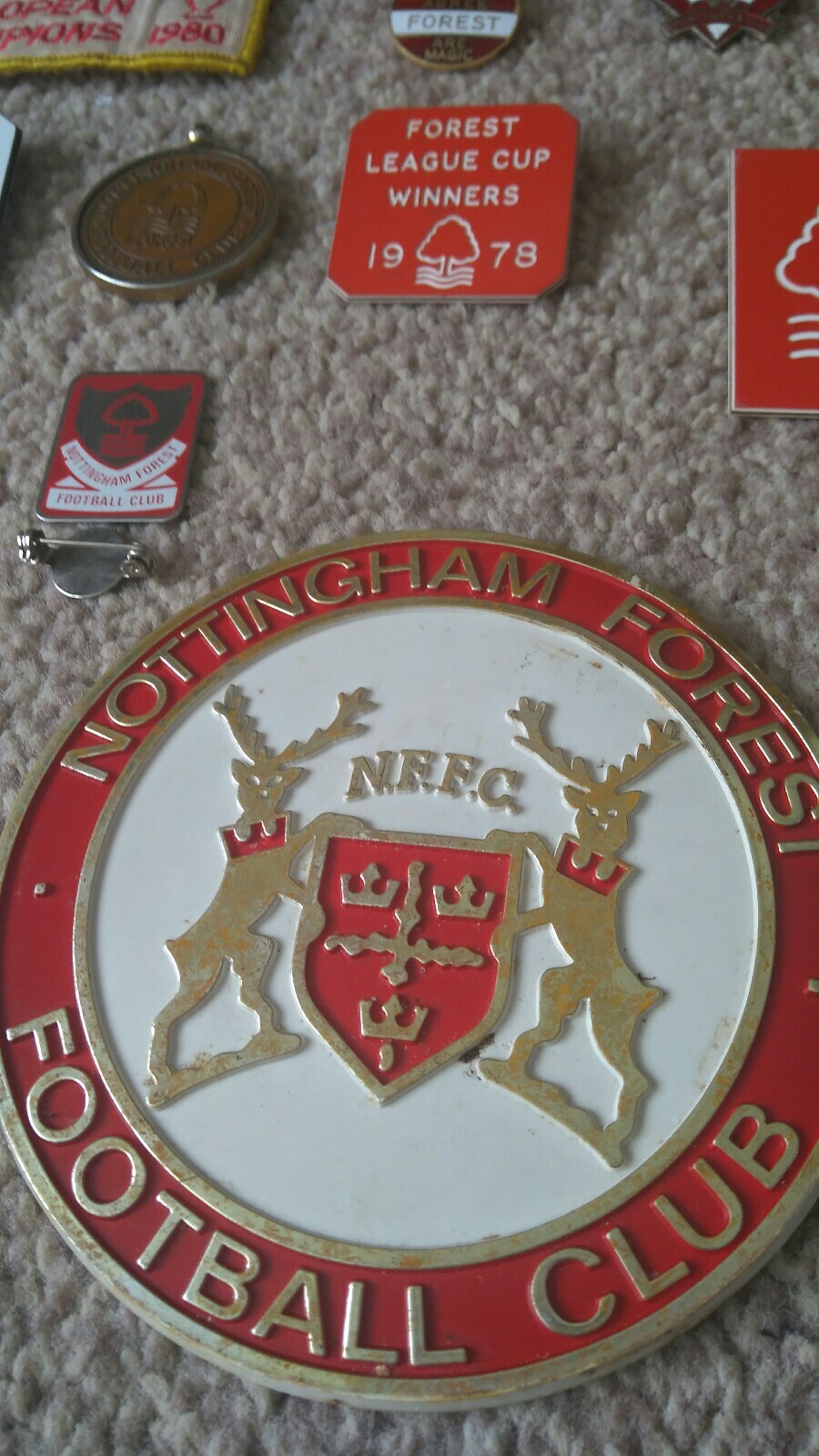 Rare & old Nottingham Forest Vintage Badges Etc Coin NFFC FA CUP ...