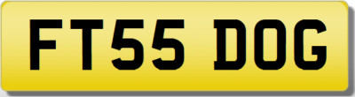 FT FTS DOG LOVERS HOUNDS DOGGIE SECURITY Cherished Registration Number ...