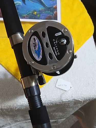 New Trolling Fishing Rod Contender 7' Med 20-25lb And Reel Calypso Blue ...